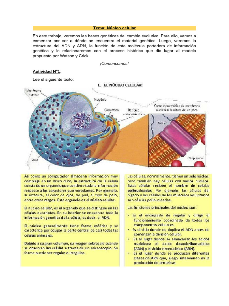 N Cleo Celular 4 A o | PDF