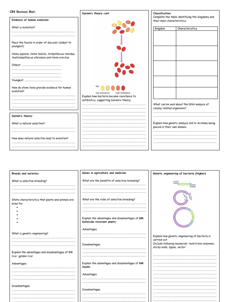 CB4 Revision Mat | PDF