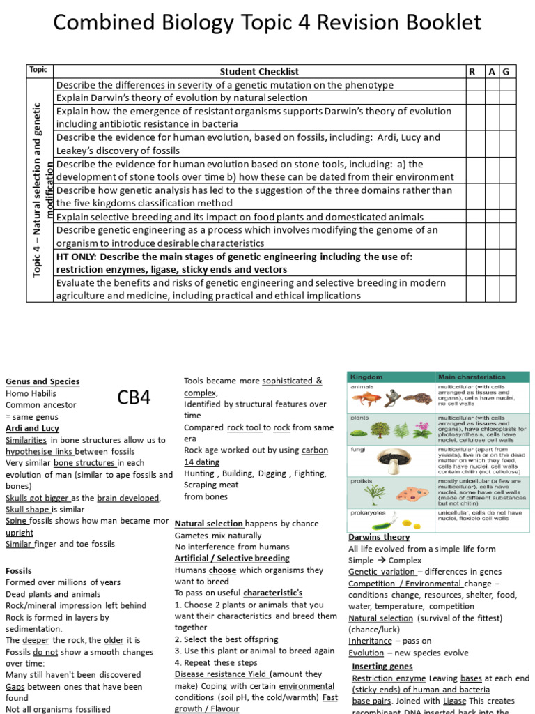 CB4 Revision Booklet | PDF