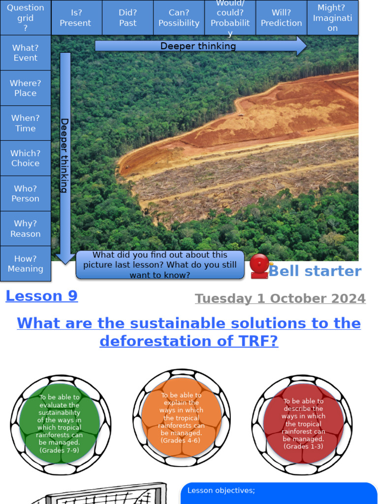 L9 Brazil Sustainable Solutions To Deforestation | PDF