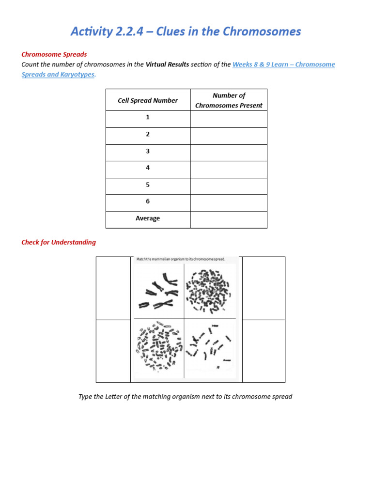 2023-24 PBS Activity 2.2.4 | PDF