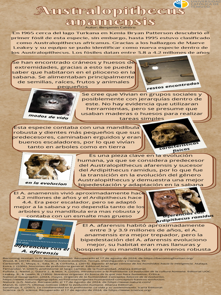 Australopithecus Anamensis | PDF