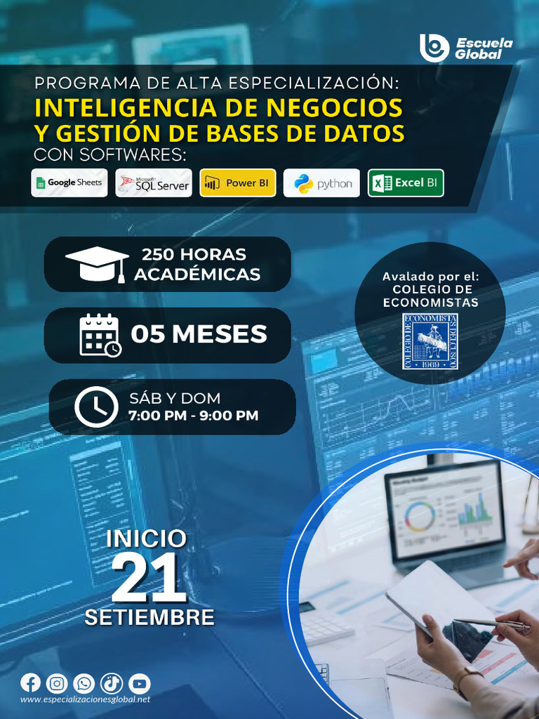 Brochuere - Gestión de Bases de Datos e Inteligencia de Negocios Con Google Sheets, SQL Server ...