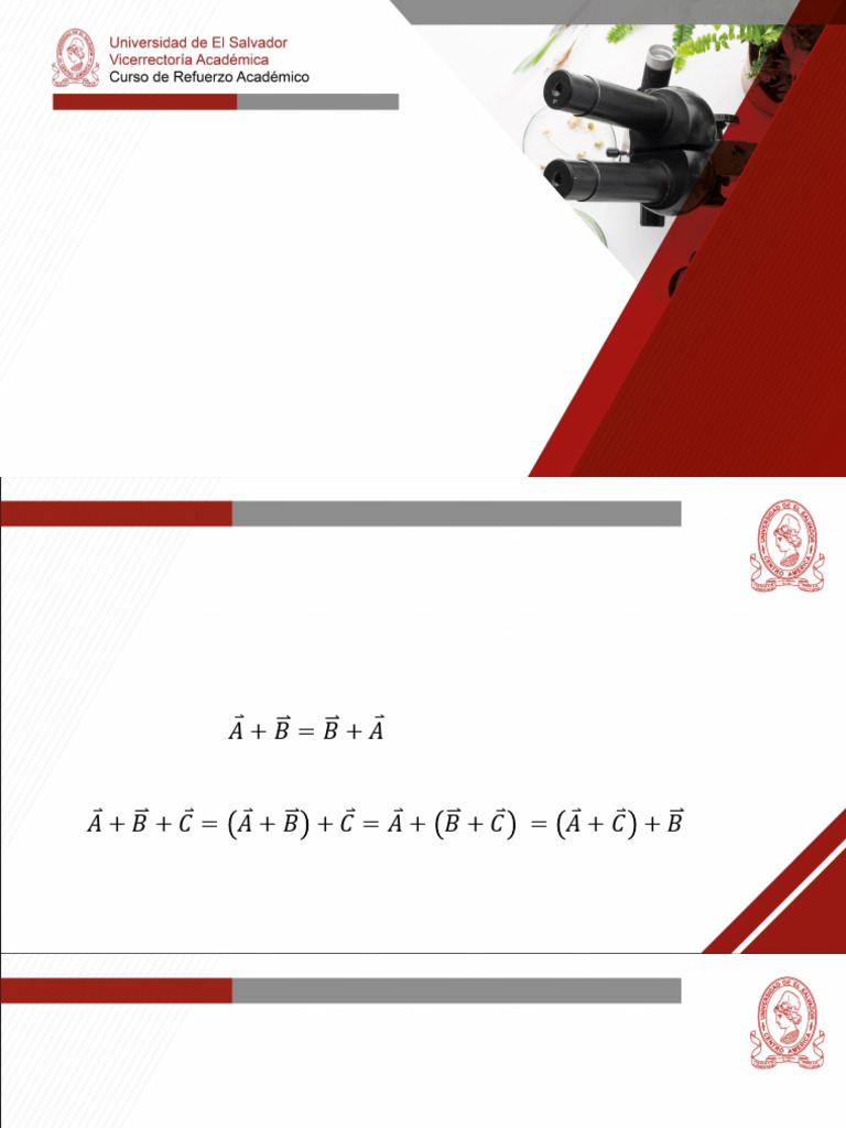 Tema III Vectores Parte III | PDF