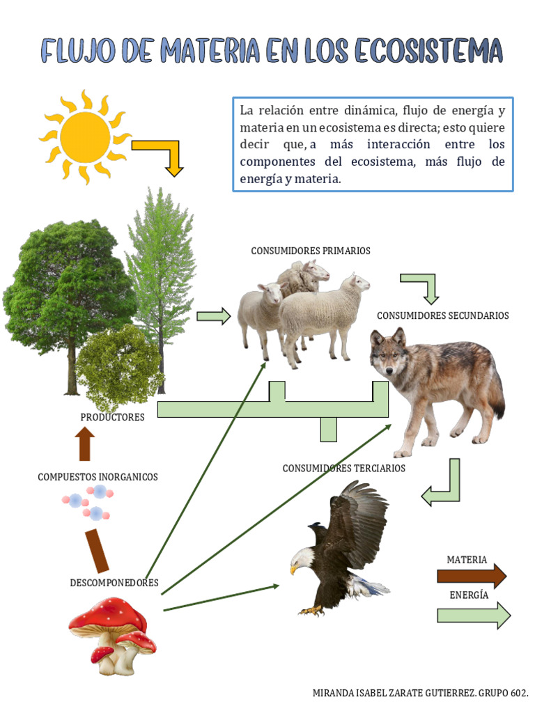 Ecologia Tabloide | PDF