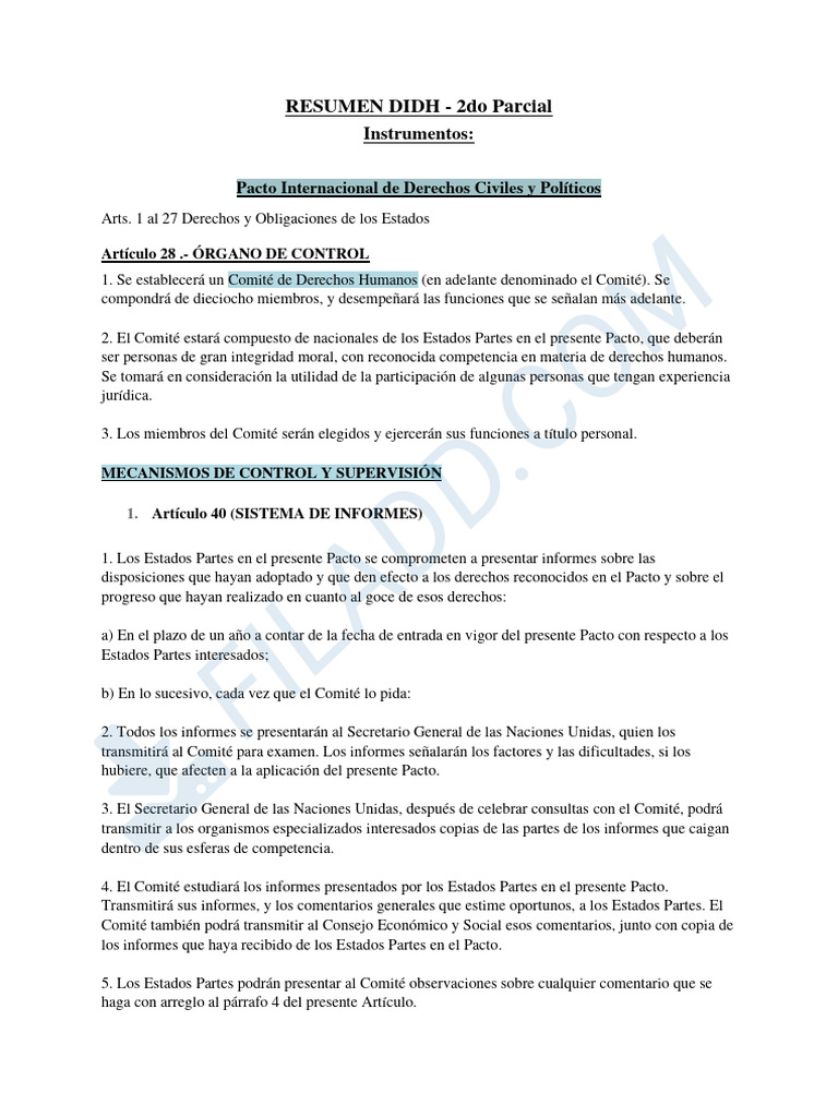 RESUMEN DIDH - 2do Parcial | PDF