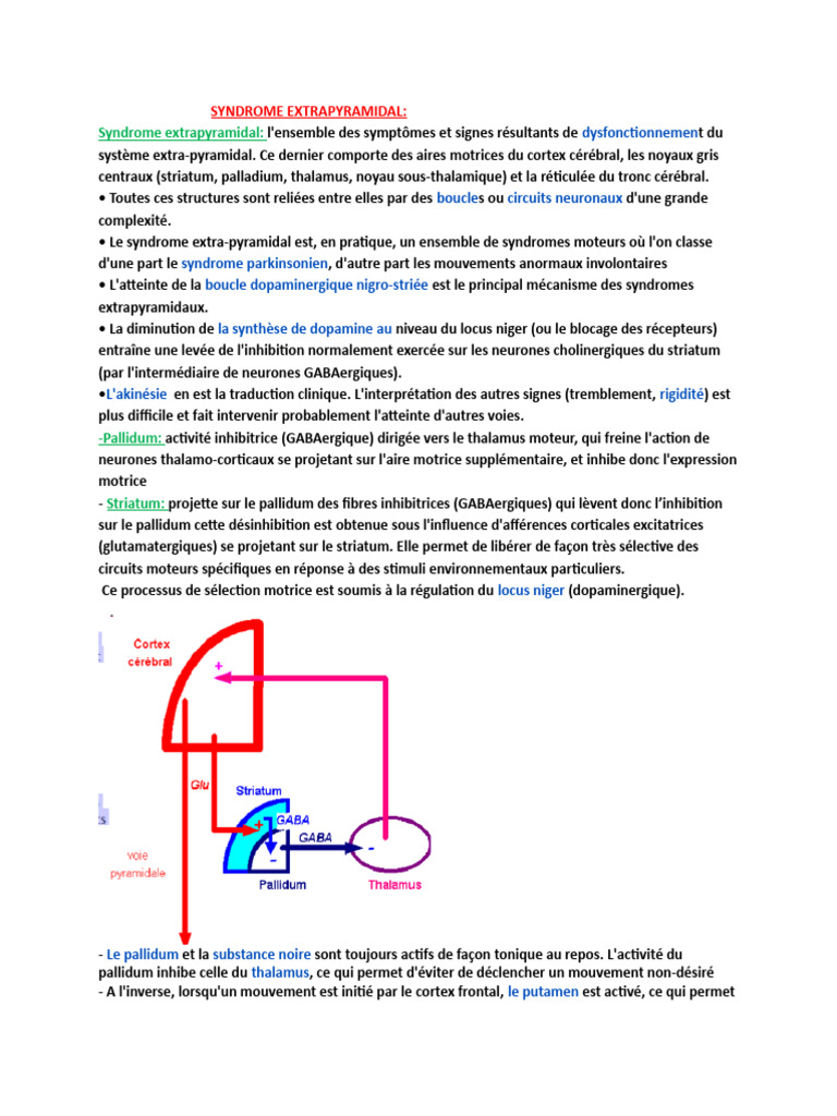 Syndrome Pyramidal | PDF