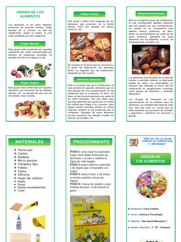 Triptico Origen de Los Alimentos | PDF