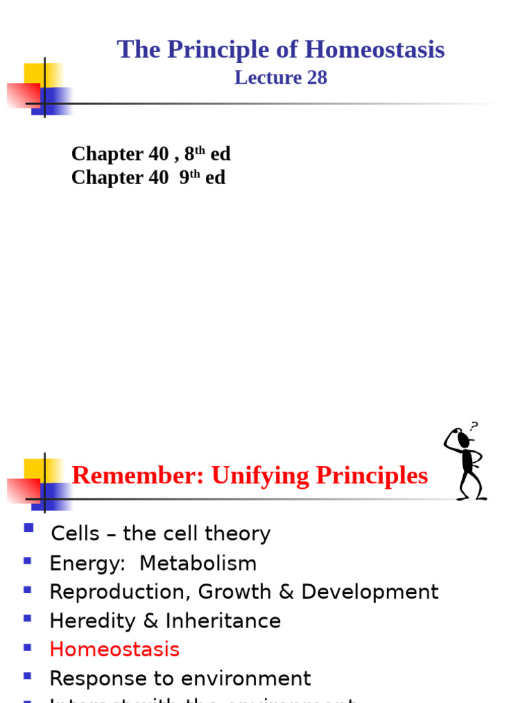Lecture 28 Homeostasis | PDF
