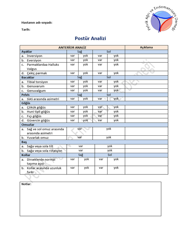 Postür Analizi | PDF