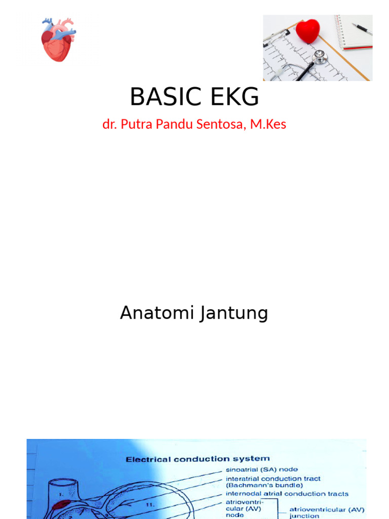 Basic ECG | PDF