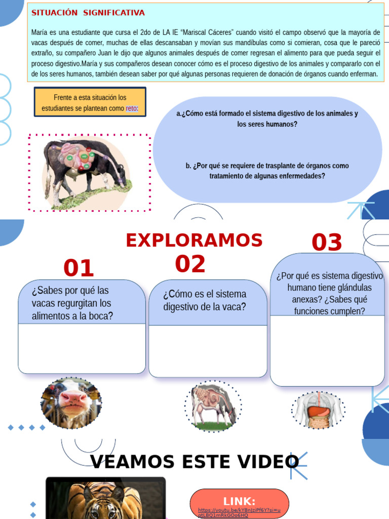 2do Sec - UNIDAD 1 - Actividad 2 - CyT Explica 2024 | PDF