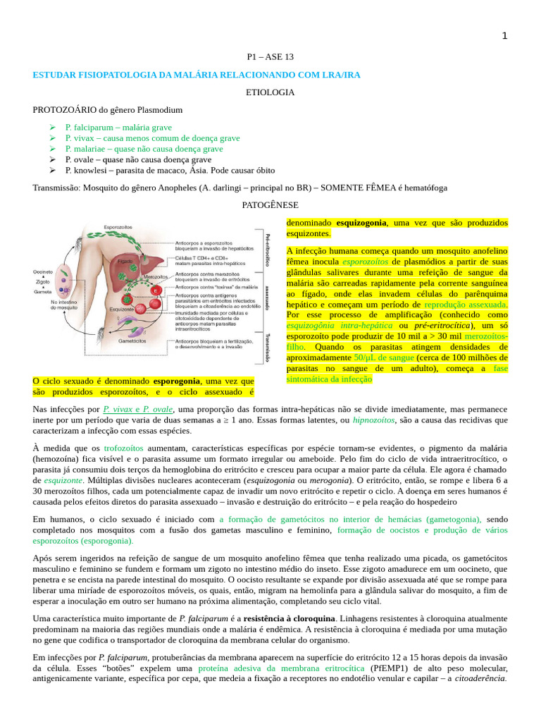 Estudar Fisiopatologia Da Malária Relacionando Com Lra/Ira ...