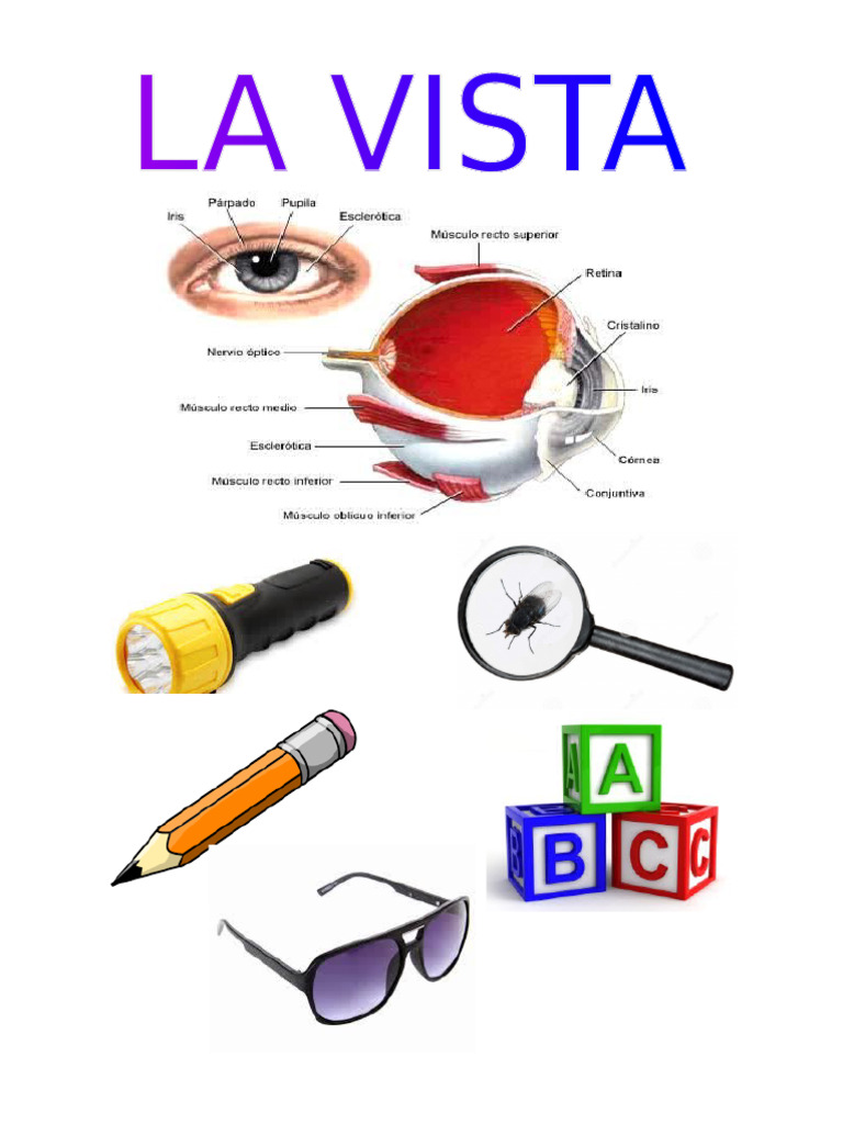 Los Cinco Sentidos de Mrda | PDF