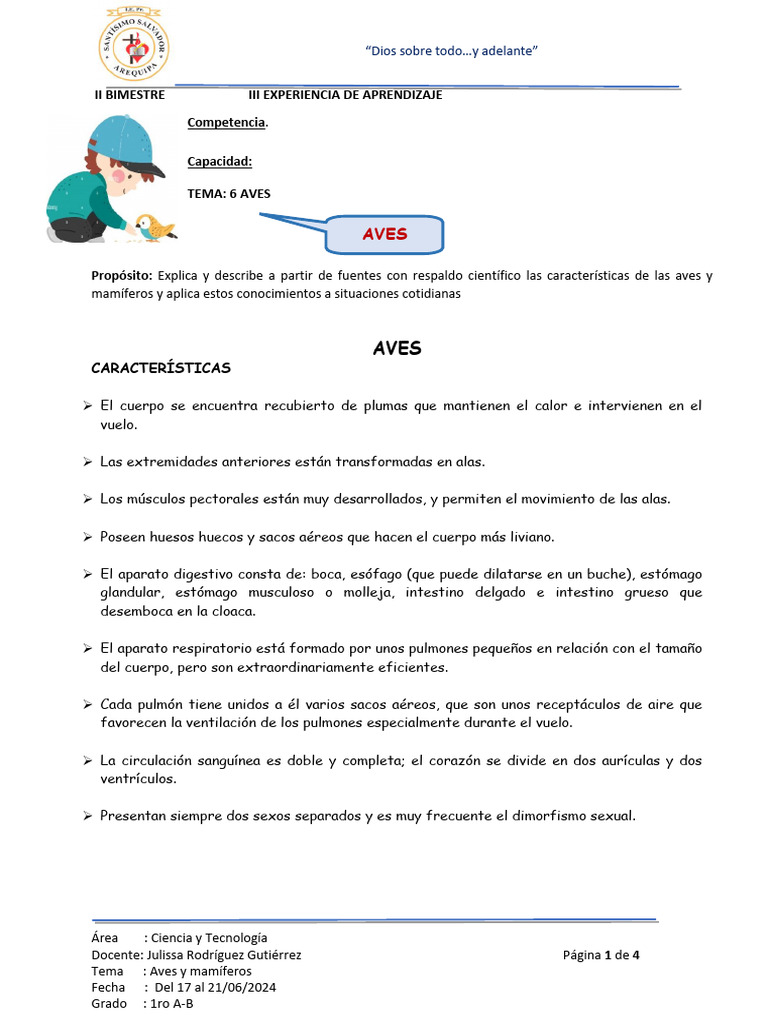 Sesion 6 Aves | PDF