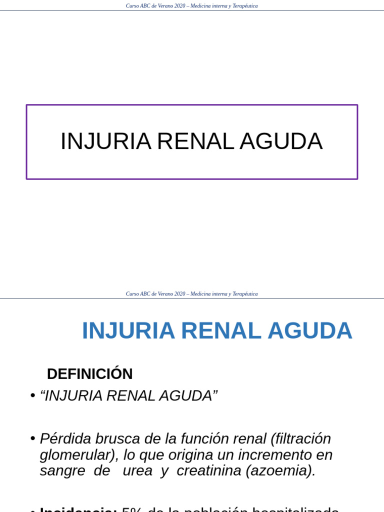 Ira e Irc-2023 | PDF | Enfermedad renal crónica | Salud y bienestar