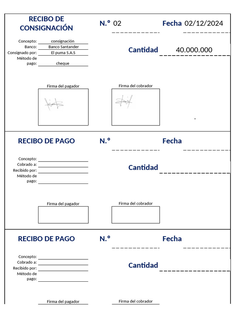 Plantilla de Recibo de Pago para Rellenar | PDF