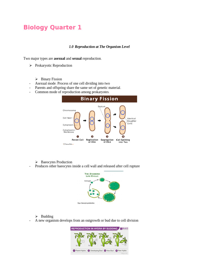Biology Quarter 1 | PDF