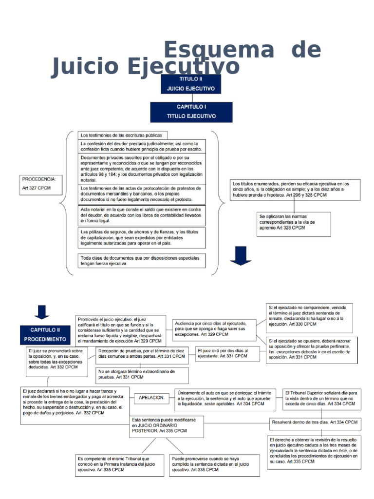Esquema de Juicio Ejecutivo | PDF
