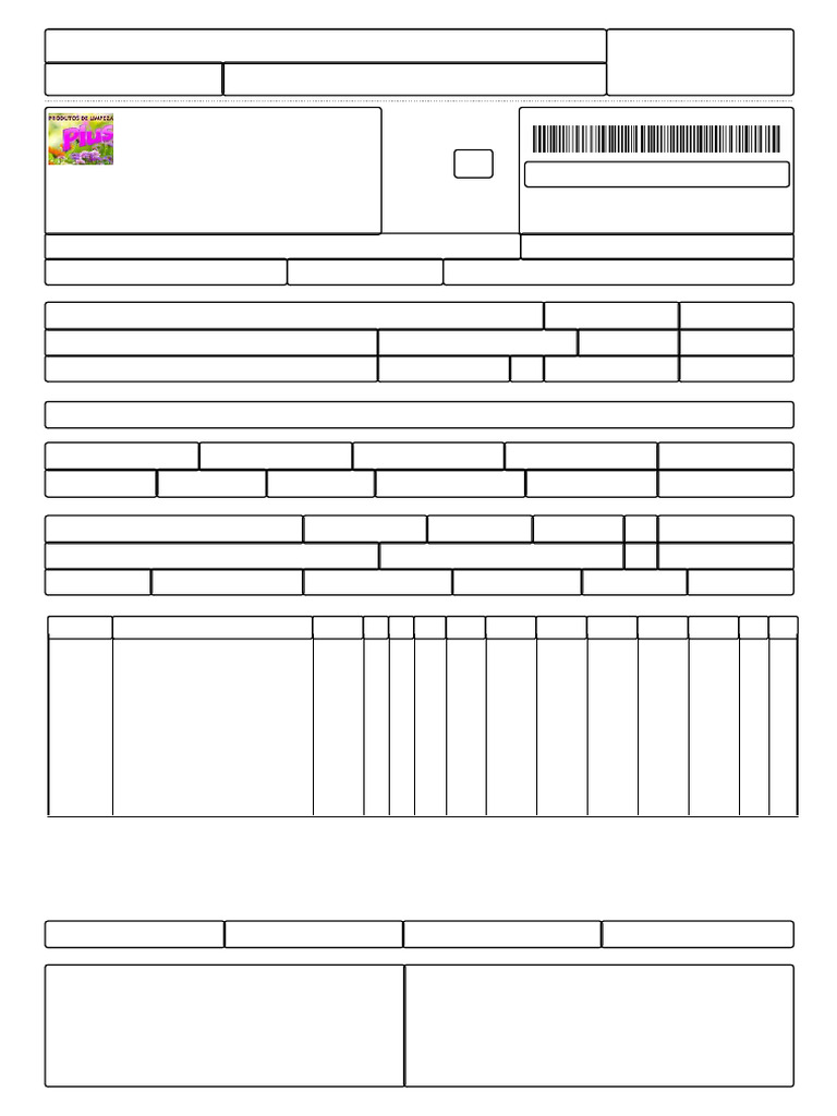 Nfe - Santa Tereza | PDF