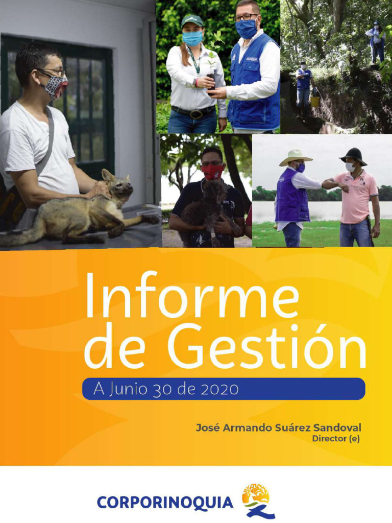 Informe de Gestion 2020 I Sem Consolidado I | PDF