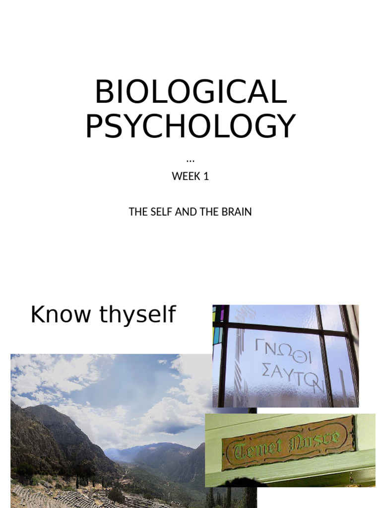 Biological Psychology: Week 1 The Self and The Brain | PDF