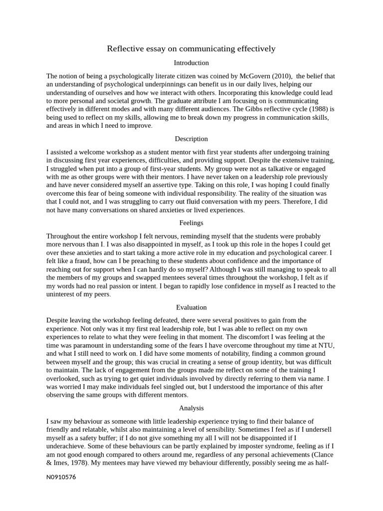 Reflective Essay | PDF