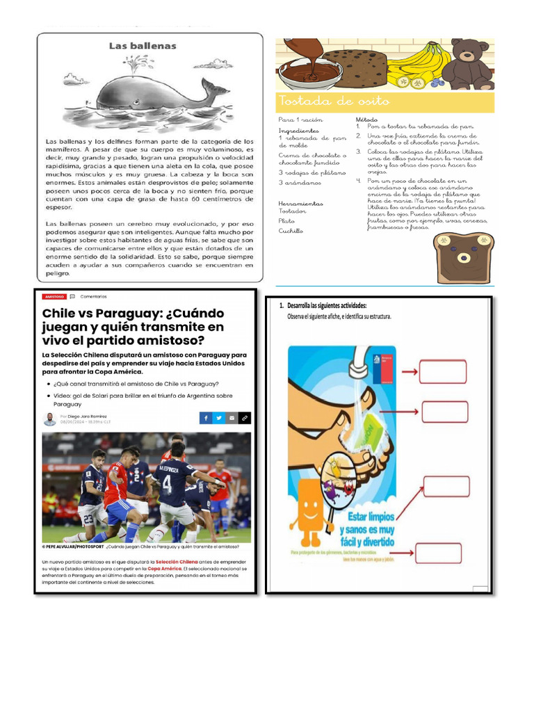 Actividad 5° Tectos Informativo Lenguaje | PDF