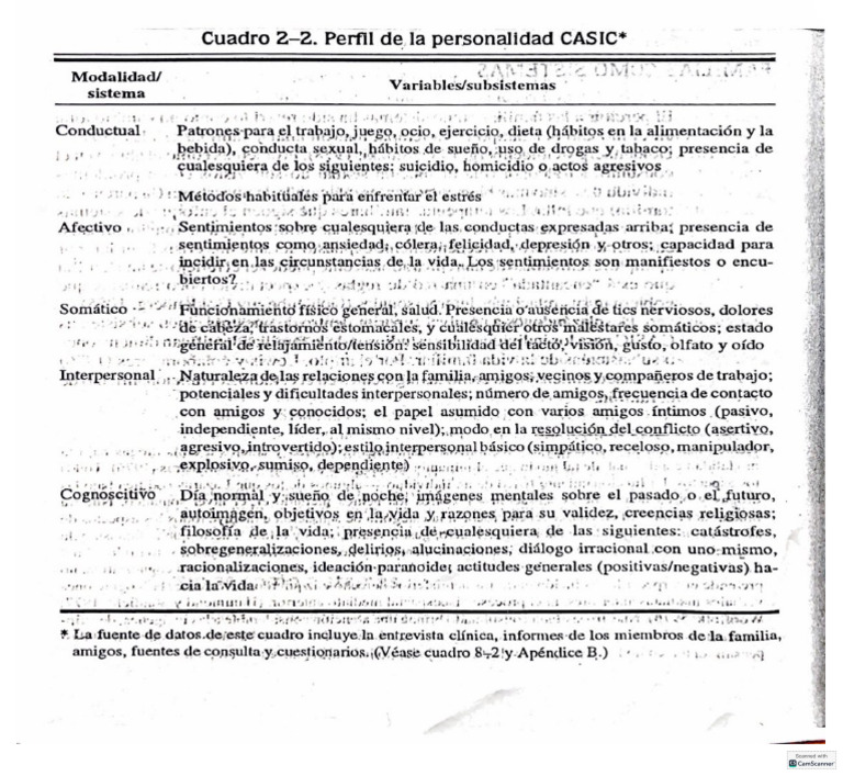 Perfil Personalidad CASIC | PDF