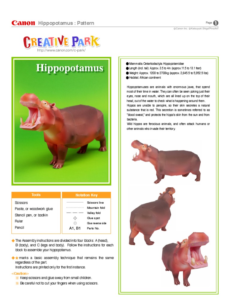 Hippopotamus | PDF | Hippopotamus | Nature