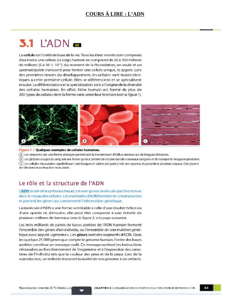 Cours Sec 3 - Chap 3 | PDF