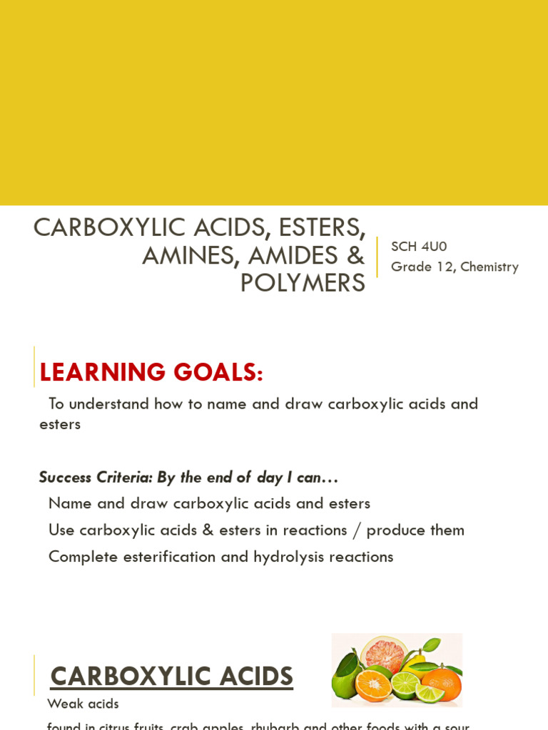 ISU Day 3 - Carboxylic Acids, Esters, Amines, Amides and Polymers | PDF
