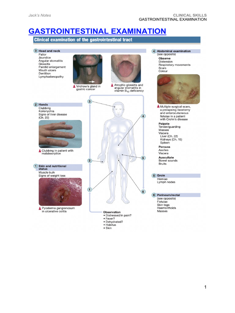 3 Gastrointestinal Examination Notes | PDF | Abdomen | Gallbladder