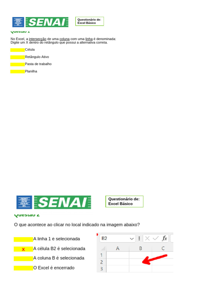 00 - Questionario - Excel - Basico | PDF