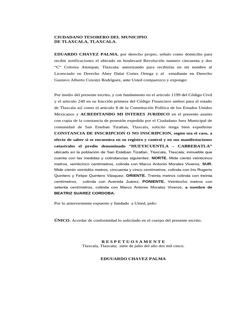 Ciudadano Tesorero | PDF