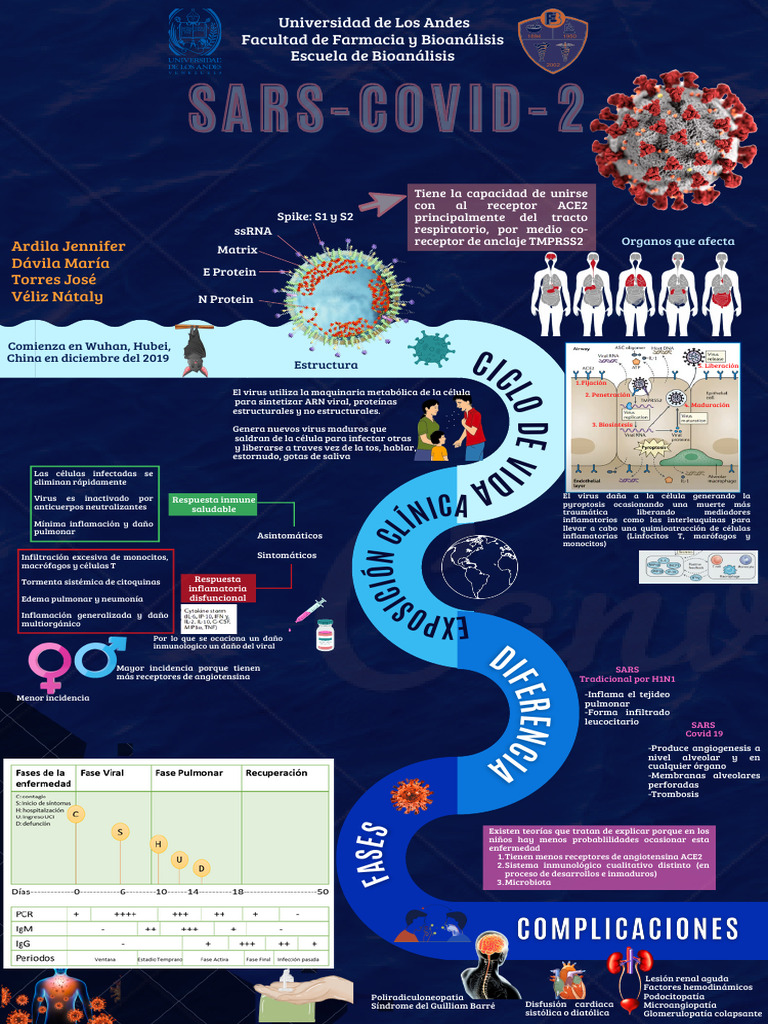 Infografia de Virus | PDF