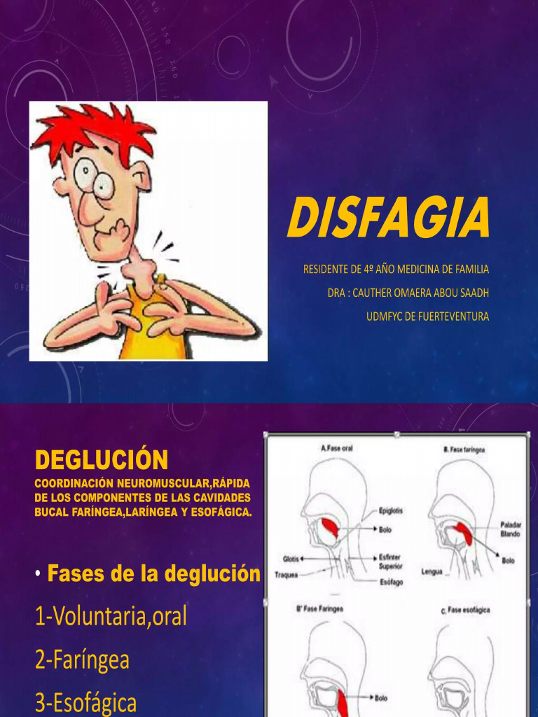 Anatomía Pato | PDF