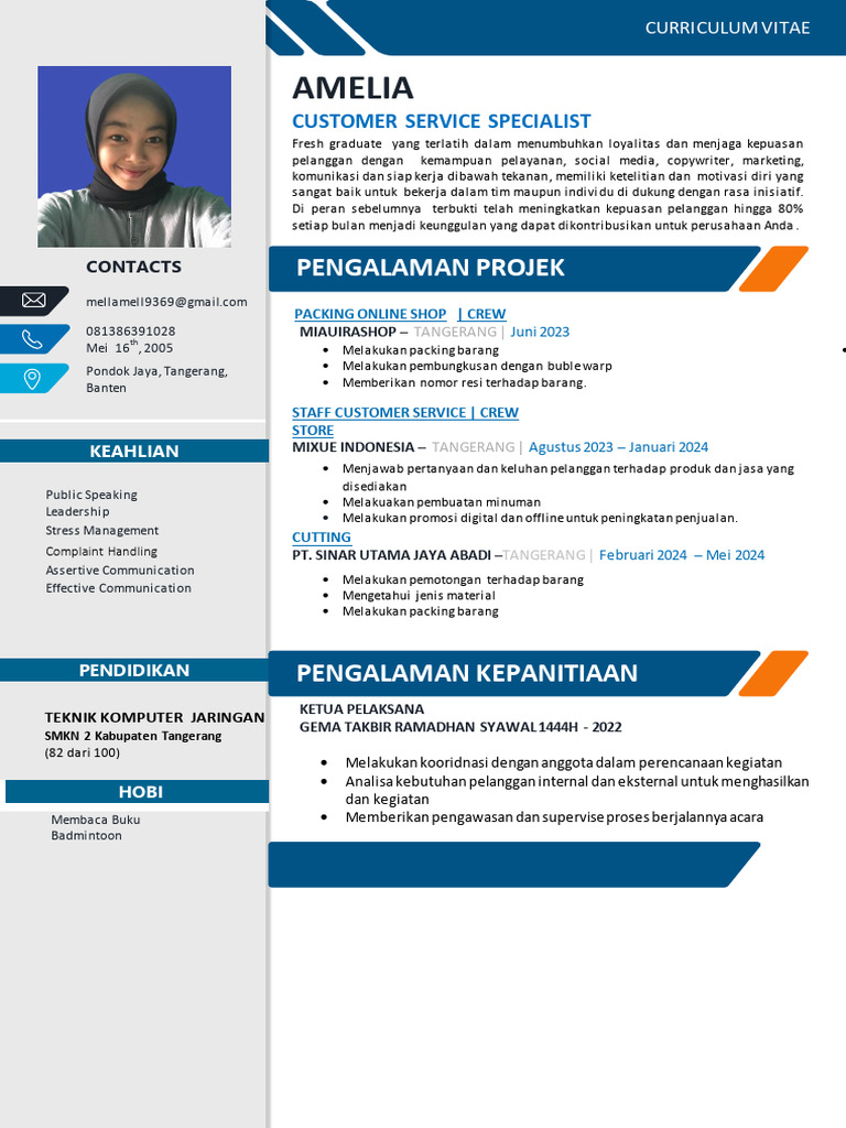 CV Amel | PDF