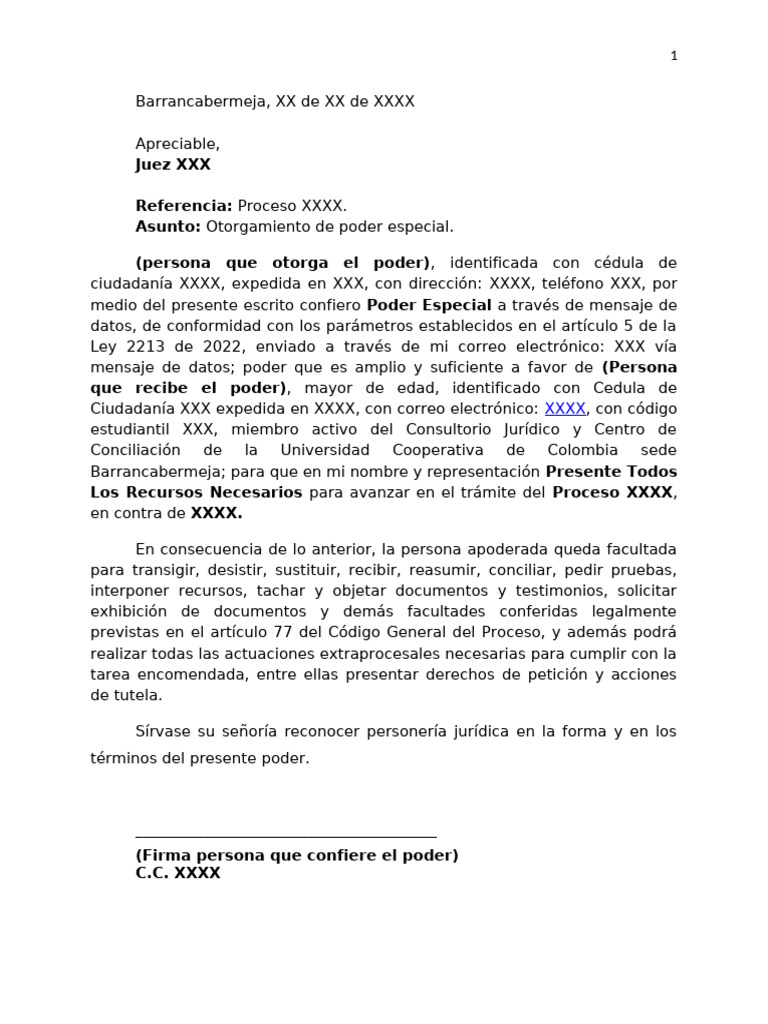 Modelo - Poder Amplio y Suficiente | PDF