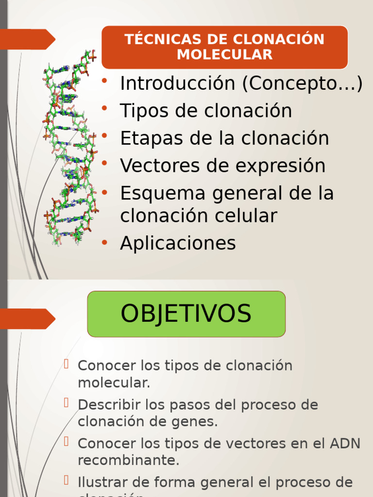Clonación Molecular | PDF