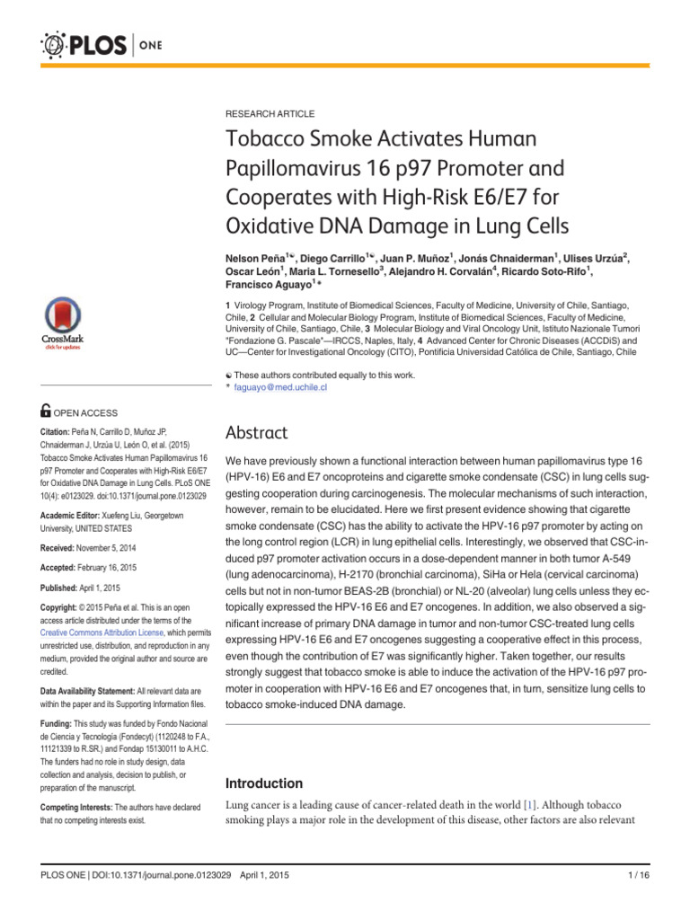 HPV and Lung Cancer | PDF