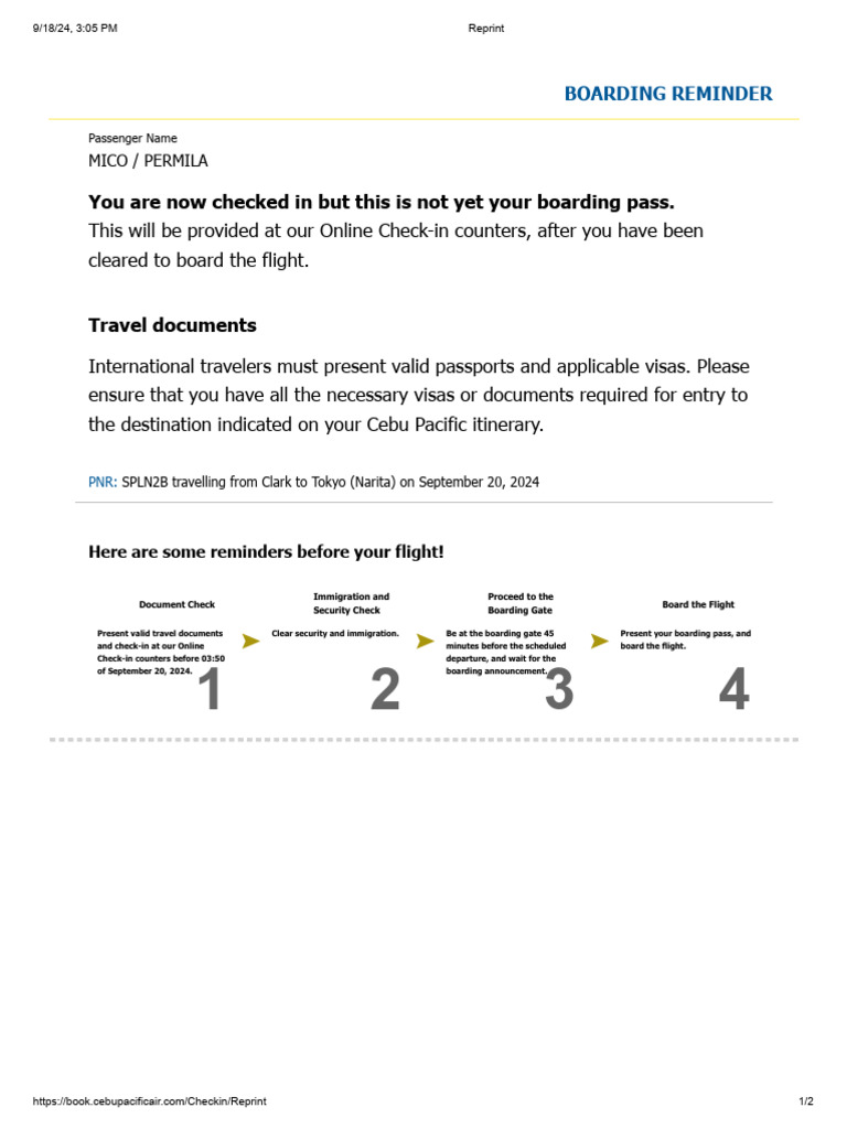 Check in Confirmation Mico | PDF