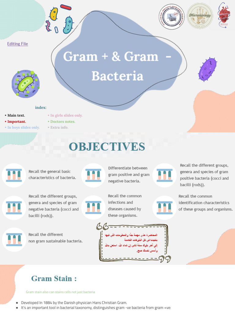 L7. Gram+ & Gram - Bacteria | PDF | Streptococcus | Gram Negative Bacteria