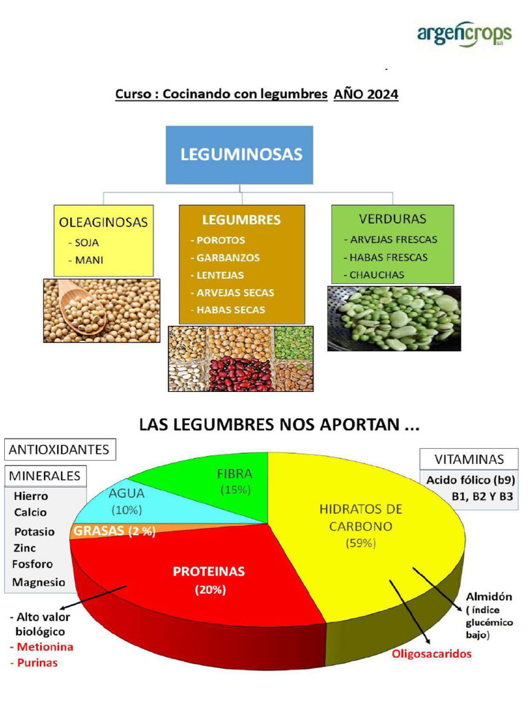 RECETARIO LEGUMBRES 2024 Corregido | PDF