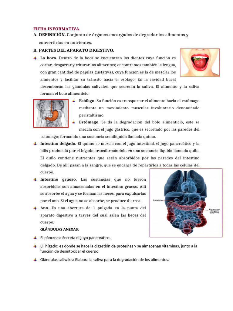 Ficha Informativa | PDF