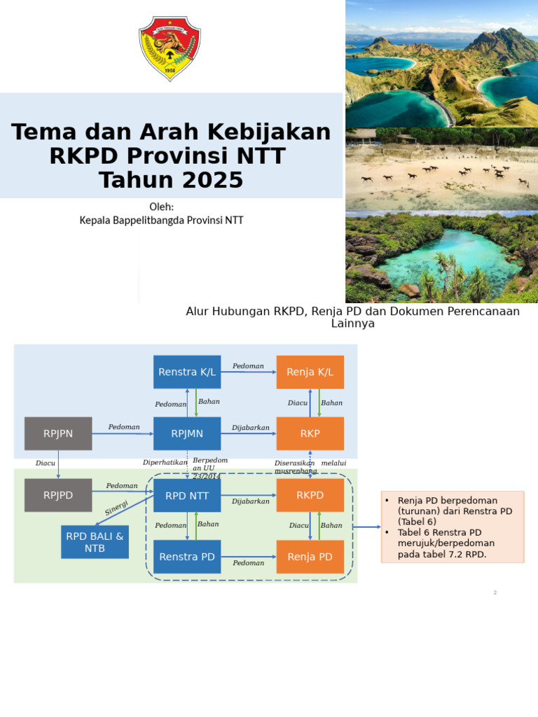 Kebijakan Penyusunan RKPD PRovinsi NTT Tahun 2025 | PDF