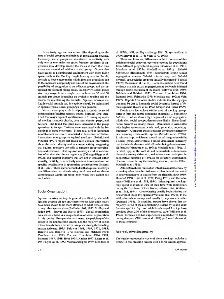 Monkey Behavior | PDF