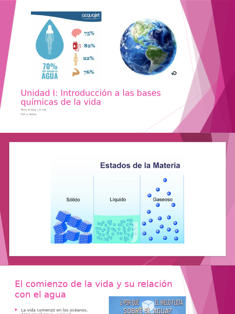 Agua y La Vida | PDF