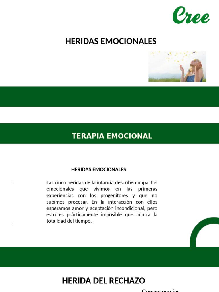 MÃ - DULO III - Clase 2. Heridas Emocionales | PDF