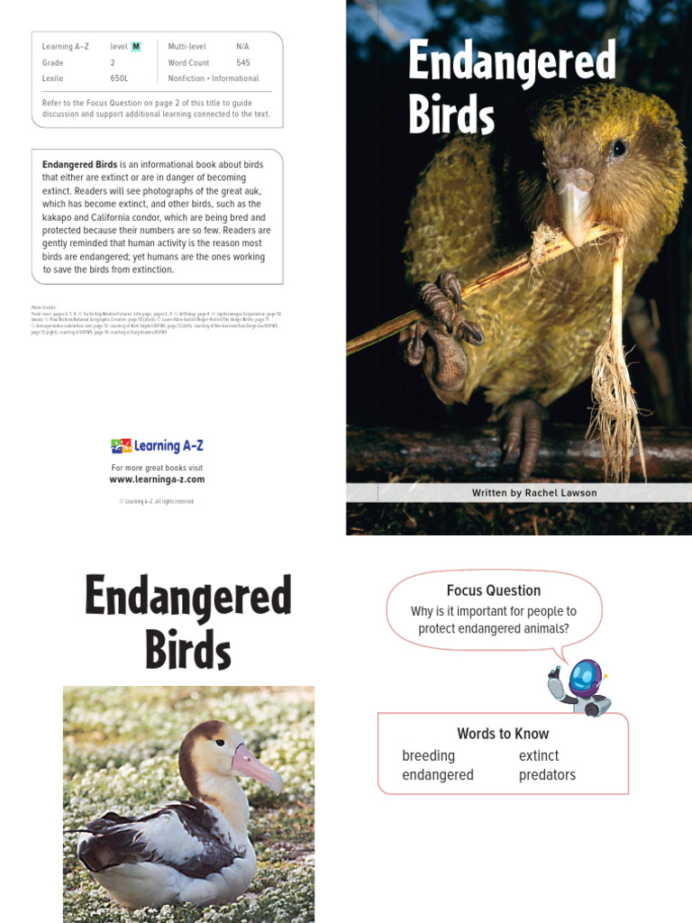 Raz lm12 Endangeredbirds CLR | PDF